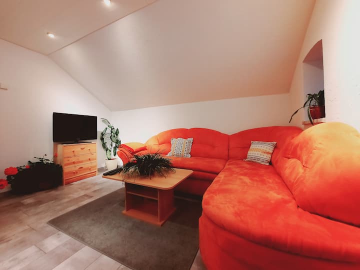 Fewo Appartment Am Gottesberg - Klingenthal