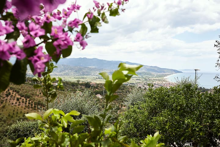 Hillside House En Cilento - Casal Velino