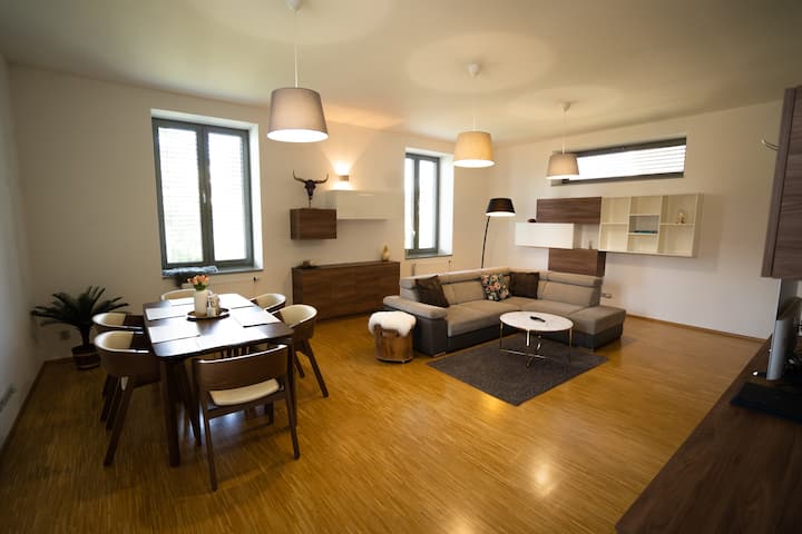 Design Apartment At Villa Tugendhat - 布爾諾