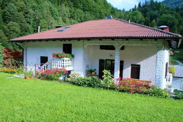 Apartma, Sobe Zver - Bohinj