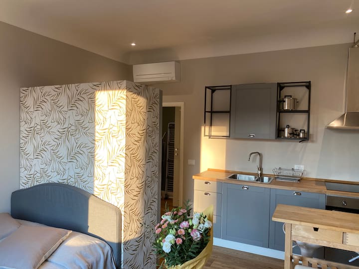Newly Renovated Studio Historical Center View - Florenz