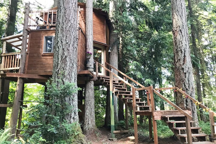 Airbntree At Adams Cove - Olympia, WA