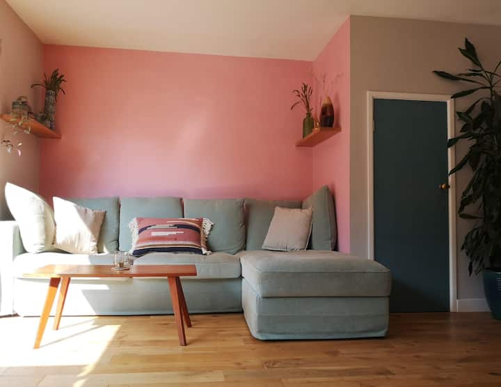 Sunny, Homely, Open Plan House In Totnes, Devon - Totnes
