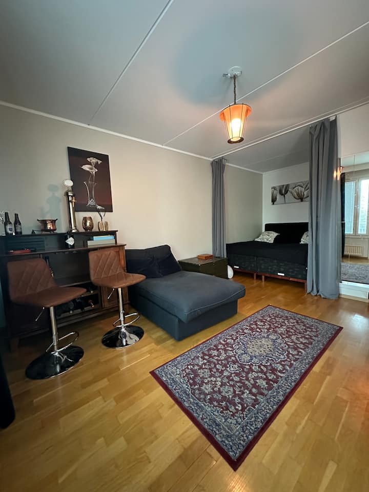 Studio / King Size Bed & Bathtub - Helsinki