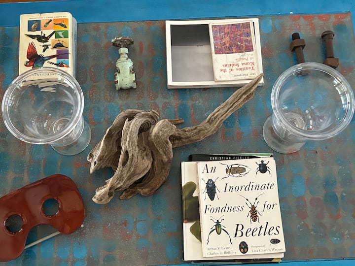 Birdhouse@ Gamboa Panamá Canal - Panamá