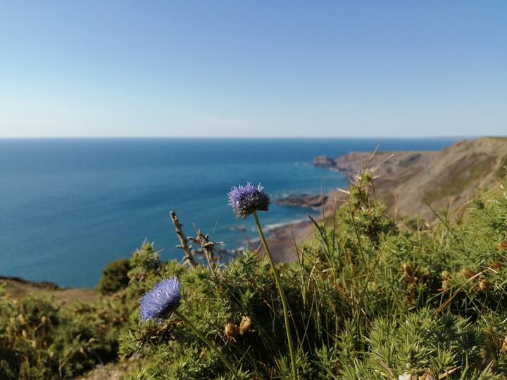 Kiberick Cottage-crackington Haven-private Garden - 康瓦耳