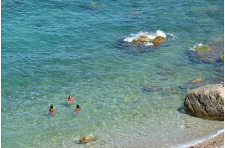 Snorkel - Torroella de Montgrí