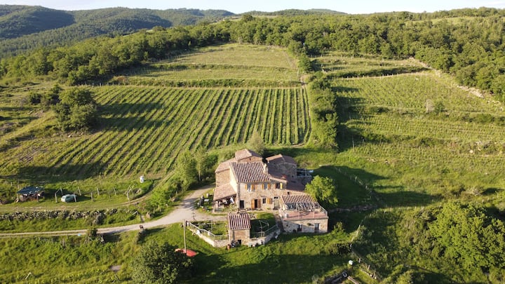 Stone Farmhouse With Garden And Lake - Radda in Chianti