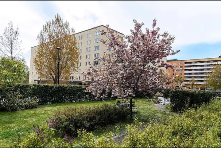 Big Apartment In Hornstull - Stockholm