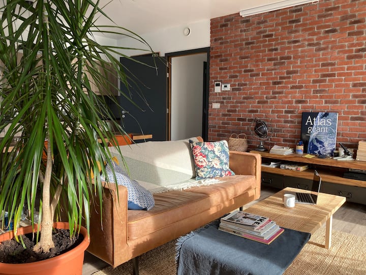 Bright Place In The Heart Of Brussels - Forest