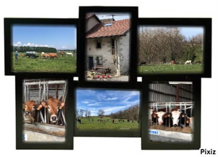 Gite à La Ferme-le Fournil  En Campagne Genevoise - Saint-Julien-en-Genevois