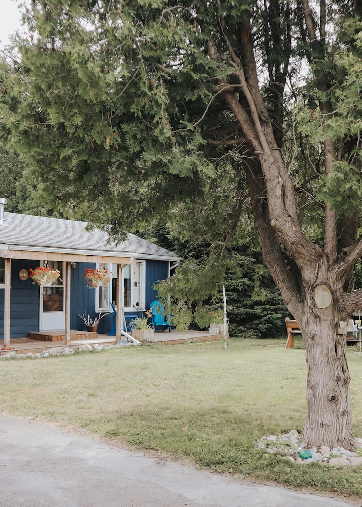 Copper Blue - Clinton