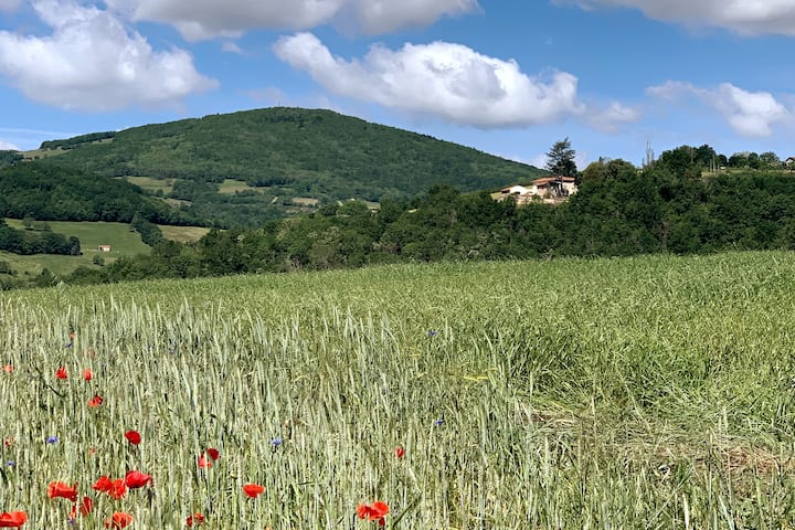 Chambres D'hôtes Belle Vue Proche De Lyon - L'Arbresle