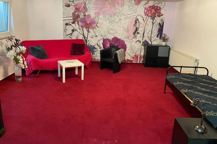 Mannheim Zentral Gelegenes Zimmer Appartement - Mannheim