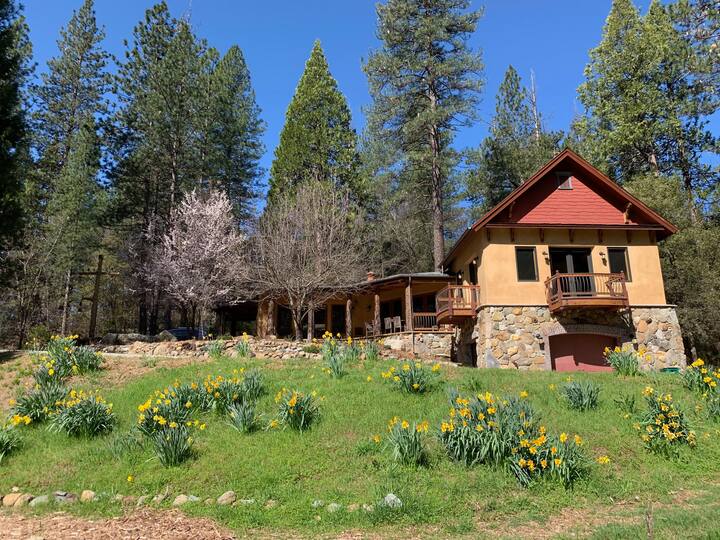 Designer's Spacious Nature Retreat Close To Town - Grass Valley, CA
