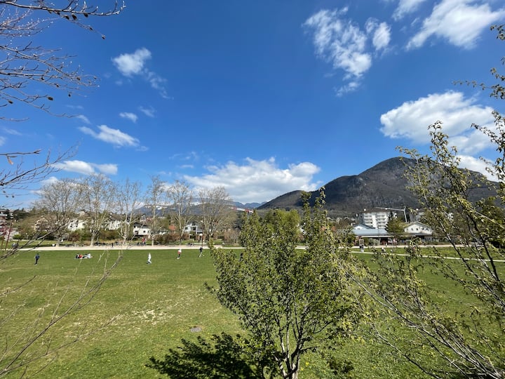 Montagne Et Lac
10 Mn à Pied Du Lac 
Vue Montagne - Annecy