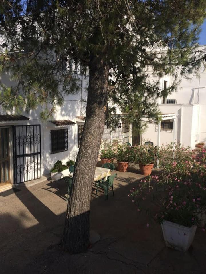 Il Pino 4/5 Posti In Masseria - San Vito dei Normanni