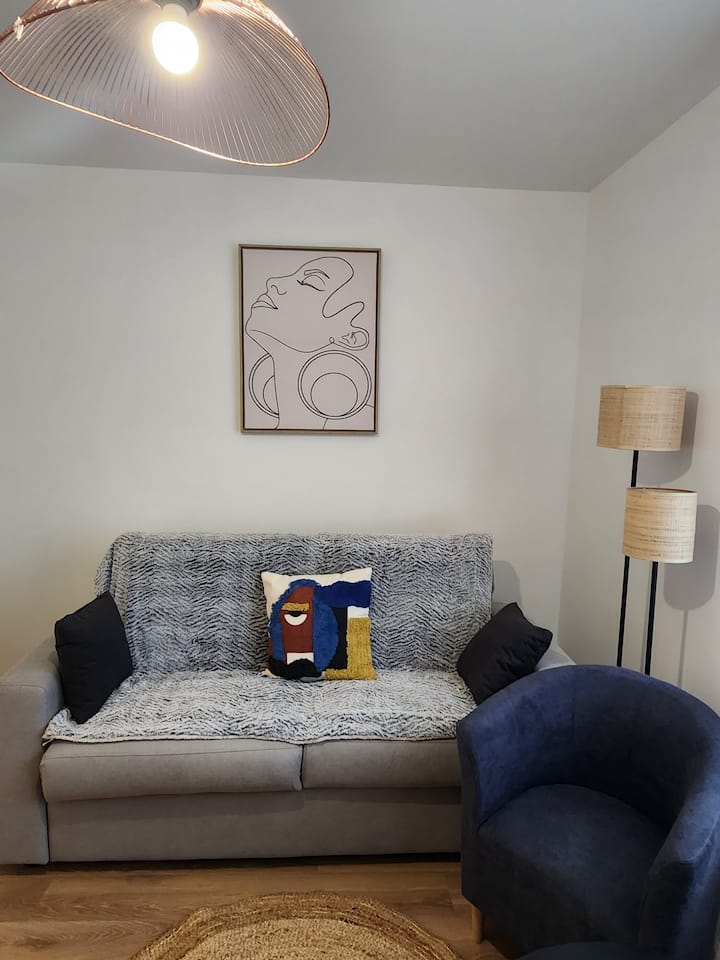 Appartement "Trois Merlettes" - Strasbourg