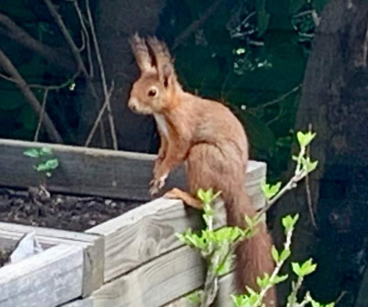 Equipé Pour Les Enfants. Draps Et Linge  Fournis - Lac de Serre-Ponçon