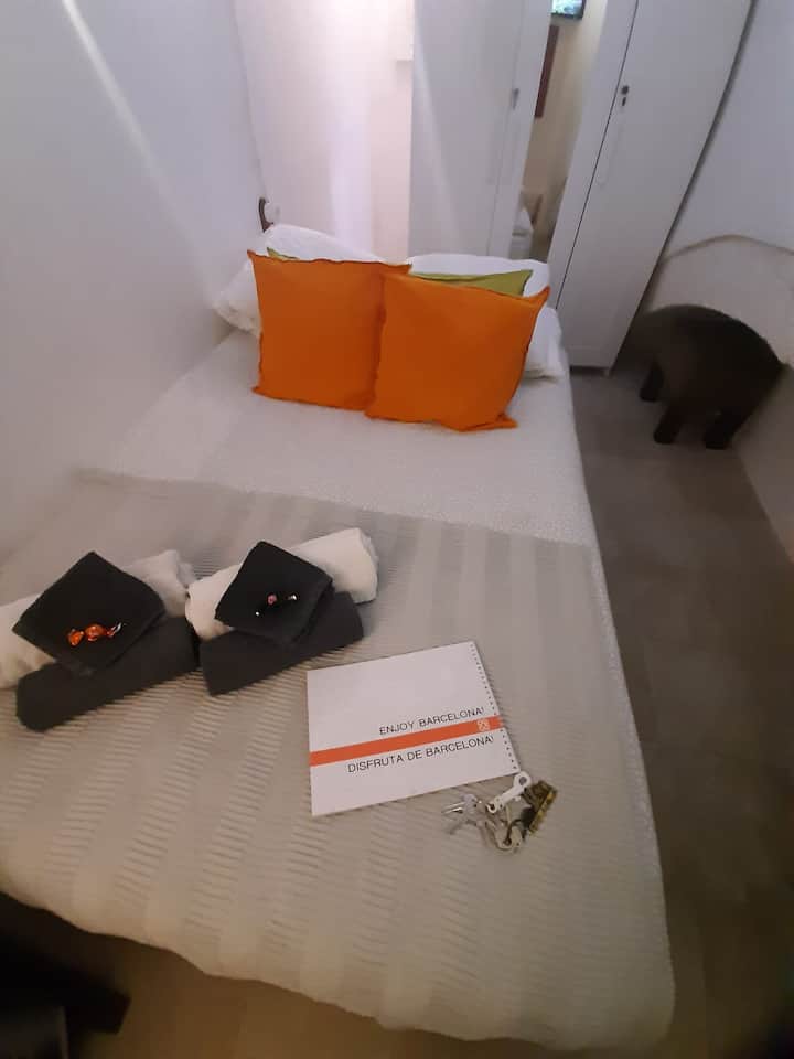 Barcelona Arrendamentos de férias e casas - Catalonia, Espanha | Airbnb