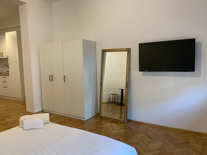 Charming Central Apartment On Pedestrian Street - Cluj-Napoca