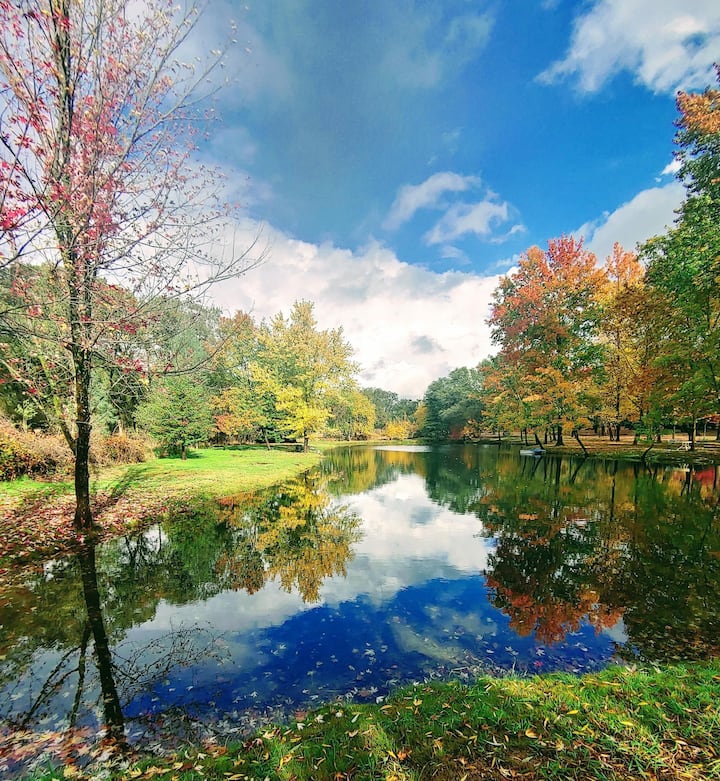 Lakes, Rivers, Farm Stay 100 Acres, Granite Bay - Granite Bay, CA