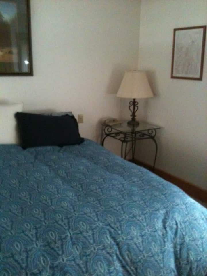Private Room, 3/4 Bath, King Bed, Sound Of Stream! - Basalt, CO