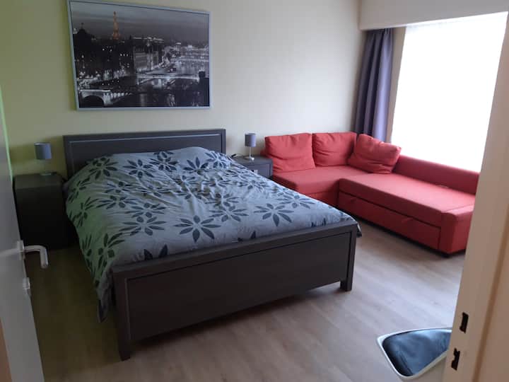 3 Privekamers In Huis Met Tuin - Lille, Belgium