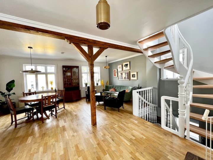 Family Home In Downtown Reykjavik - Reikiavik