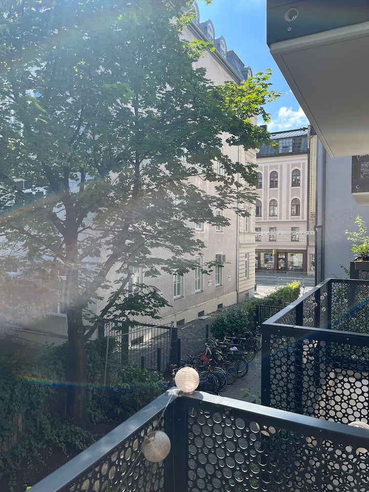 Wohnung Direkt An Der Wiesn - Munich