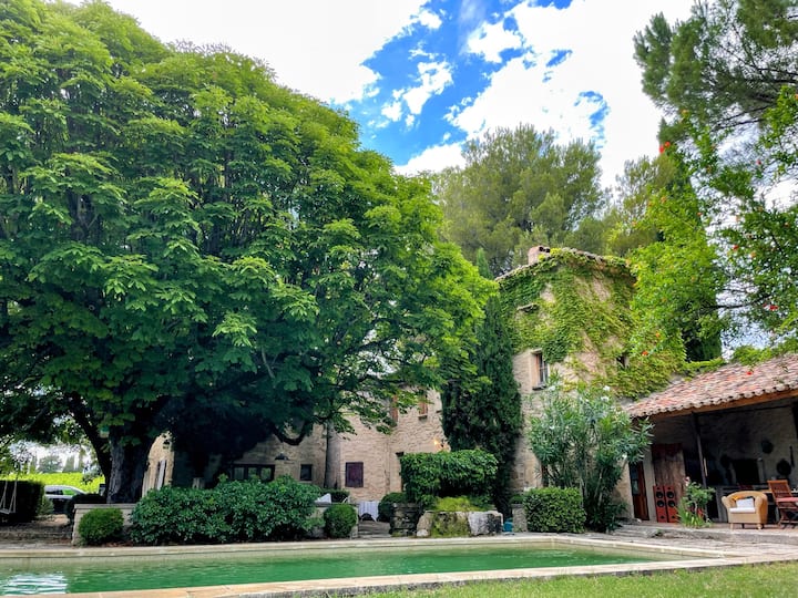 Luxury Provencal Villa Amidst Own Vinyards - Malaucène