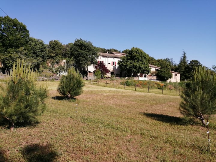 La Magnanerie - Petit éCrin De Verdure - Vallon-Pont-d'Arc