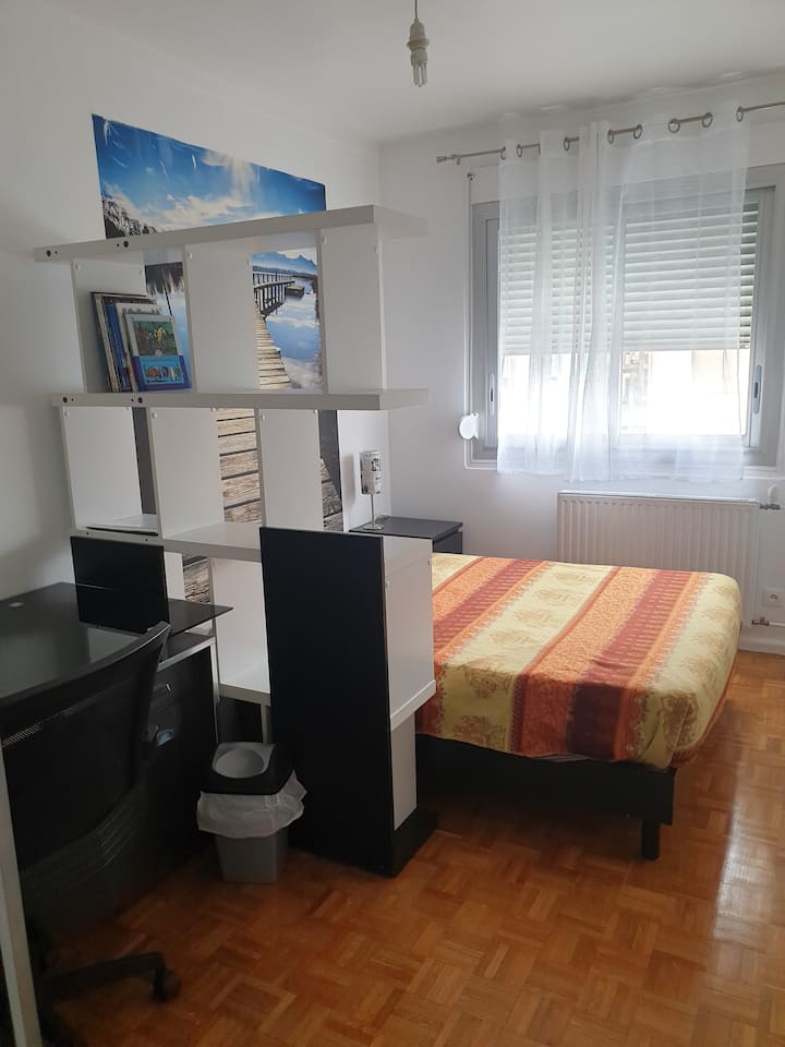 Chambre Calme Dans Grand Appartement - 里昂