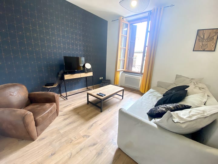 Le Poudrier Clim Calme En Bastide - Carcasona