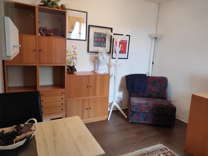 Kleinwohnung / Garconniere Im Herzen Von Graz - 格拉茨