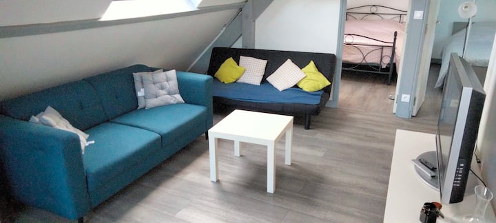 Appartement Hypercentre Troyes - Troyes