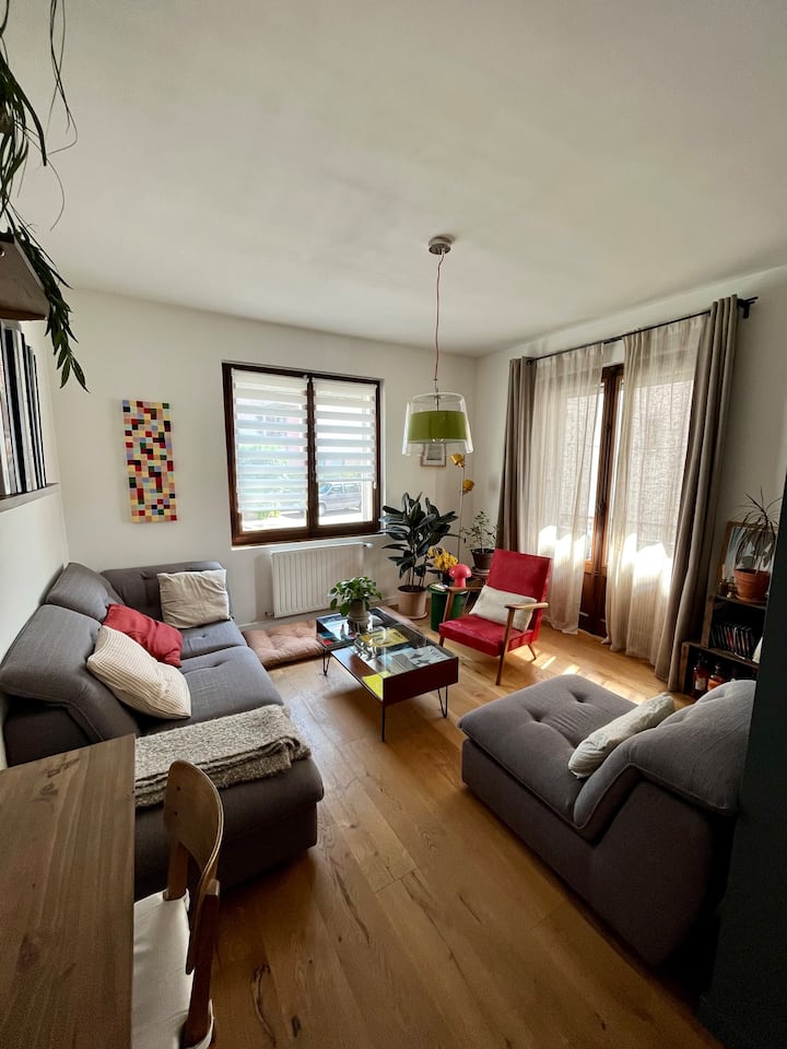 T3 Très Chaleureux Proche Centre Annecy - Annecy