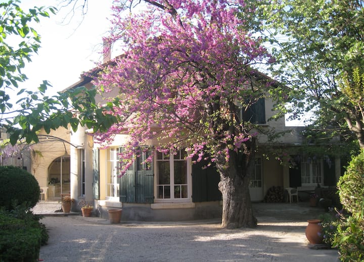 Maison Familiale à Villeneuve, Grande Piscine. - Villeneuve-lès-Avignon