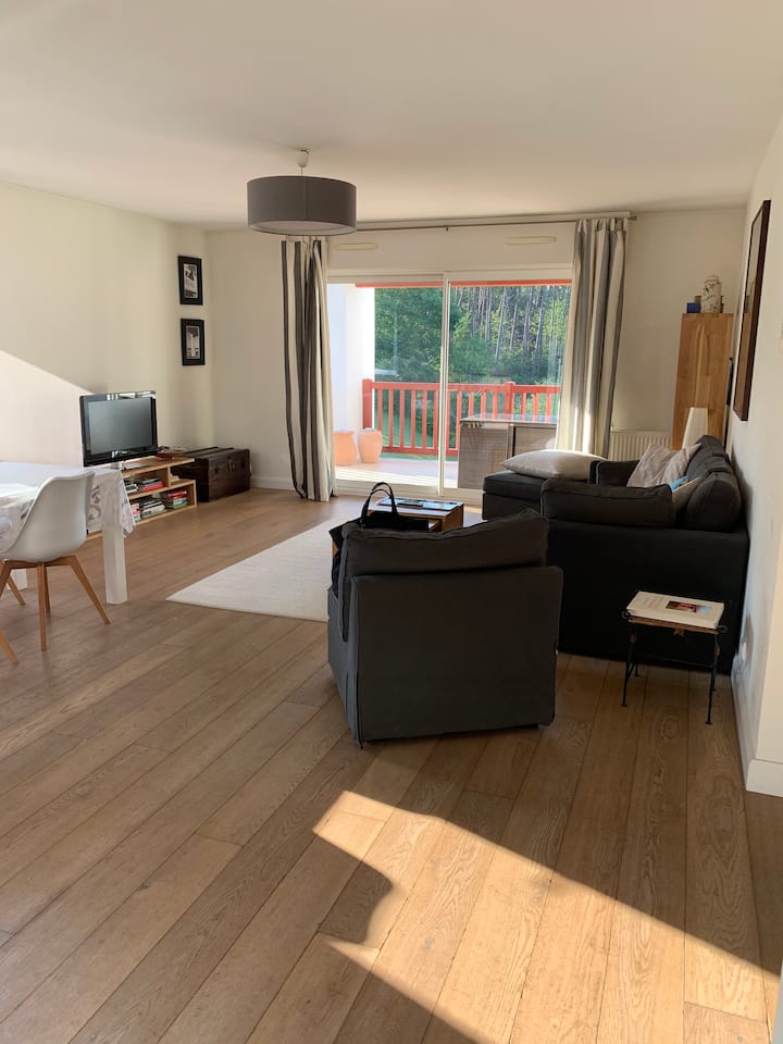 Lumineux Appart T3 85m2, Wifi, Parking, Plage 5 Mn - Guéthary