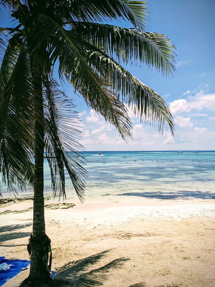 Beachfront Paradise, Pool, Sleeps 1-6, Akumal, Mx - Akumal