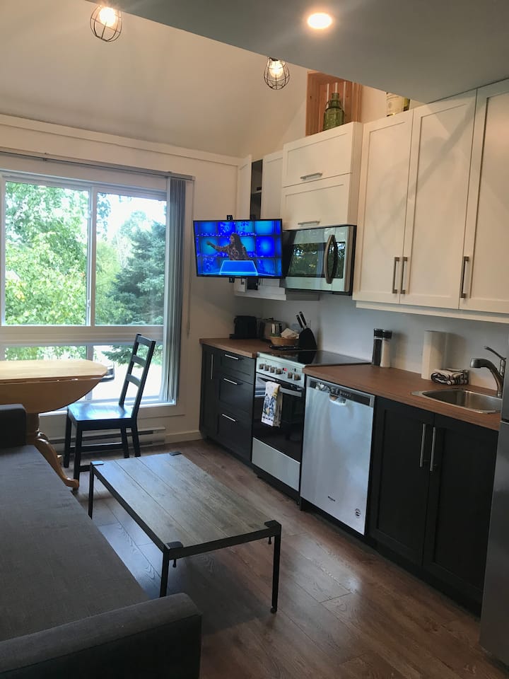 Au Secret De La Montagne   Citq 295706 - Mont-Tremblant