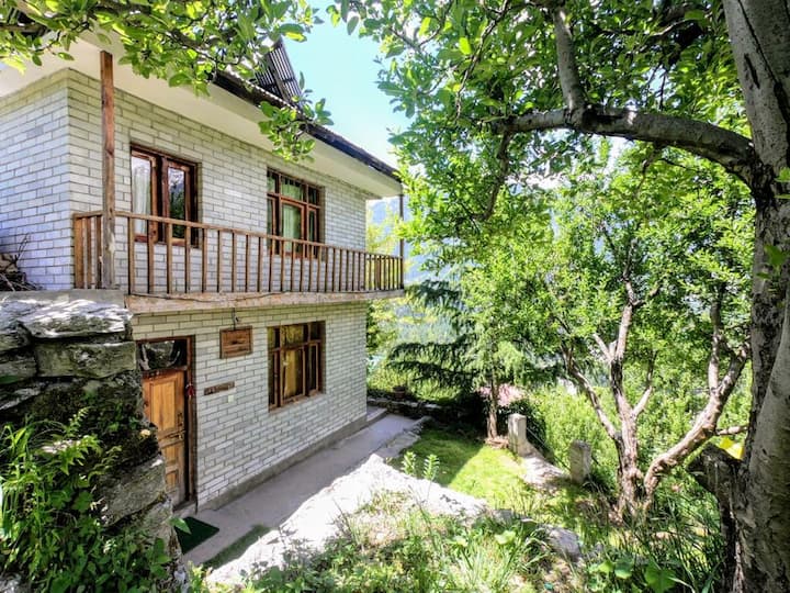 Hostel Room | Treenido - Manali Vashisht - Manali