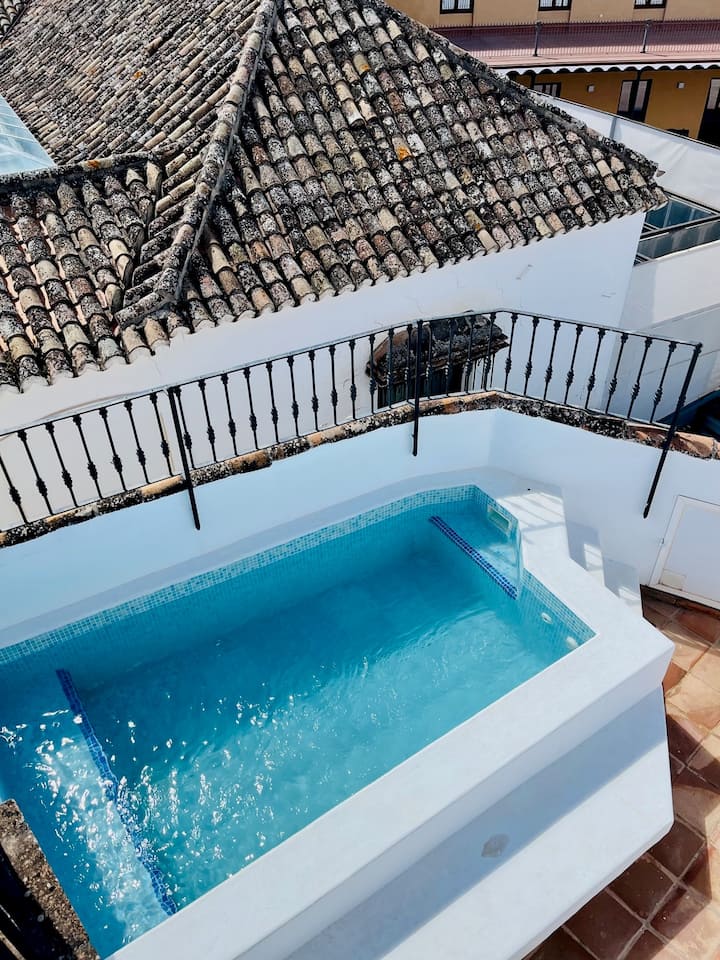 Home With Private Rooftop Pool In Historic Center - Ronda