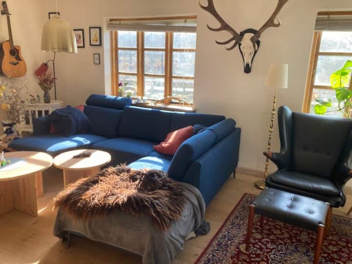 Villa With Plenty Of Space Inside And Out. - Dänemark