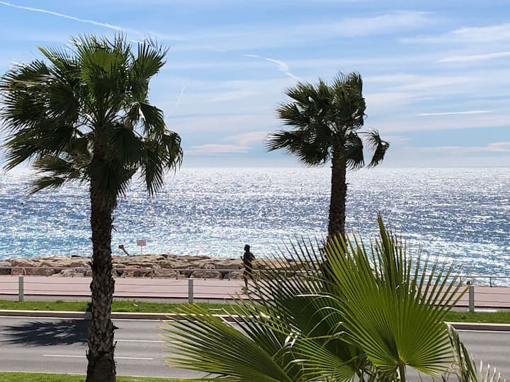 Nice Promenade : Beau 2 Pièces Face à La  Mer - Parc Phœnix - Nice