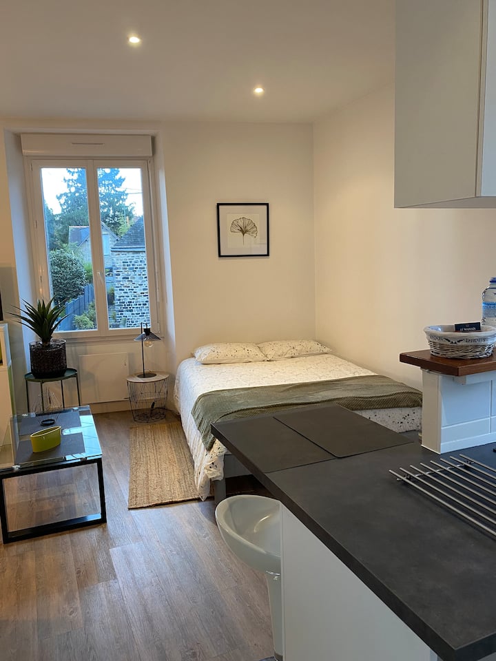 V 2 - Studio Cosy Proche Gare Et Centre-ville - Rennes