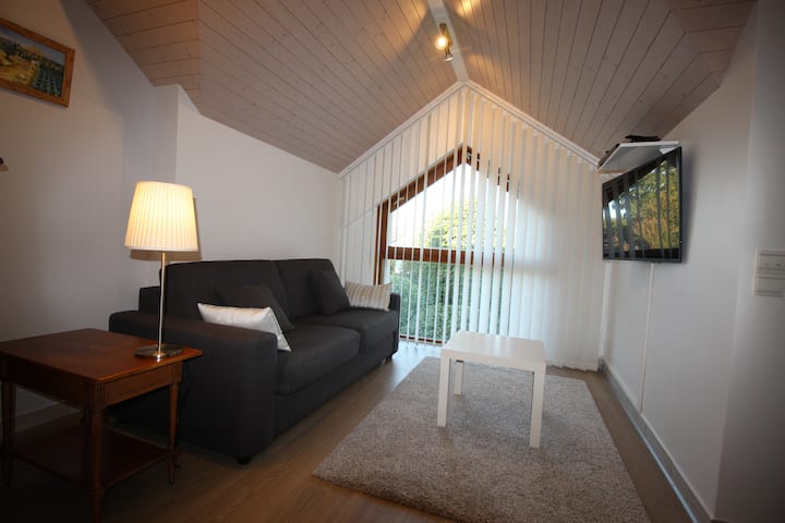 Grande Maison à Argonay / Annecy - Annecy