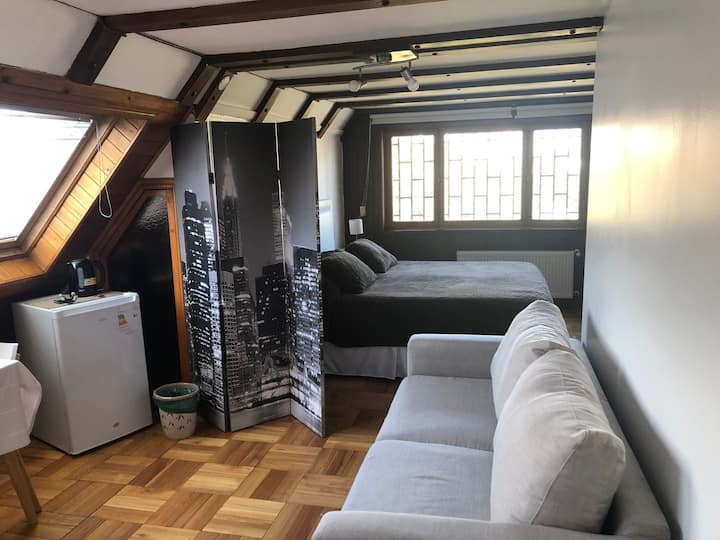 Gran Habitación En Casa C/baño Priv - Las Condes