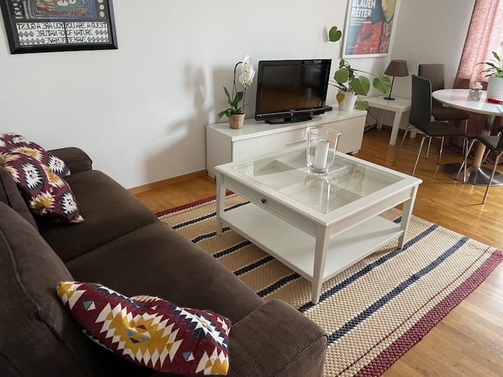 Charming Flat  Zurich Seefeld Near Opera/bellevue - Zurique