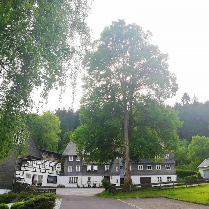 Stryckmühle Inkl. Frühstück - Willingen (Upland)